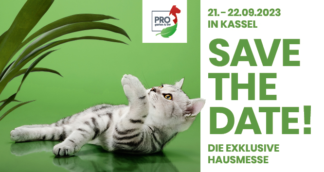 Sagaflor präsentiert viel Neues auf... - diy online