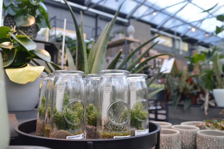 Zahl der Gartenstandorte in Deutsch... - diy online