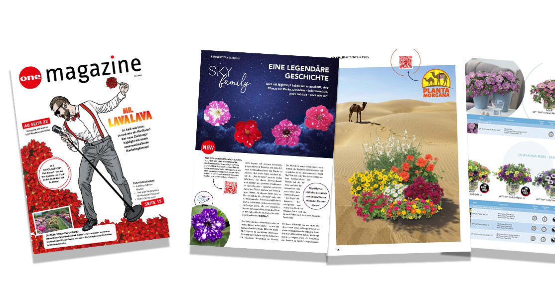 Selecta one veröffentlicht Marketin... - diy online