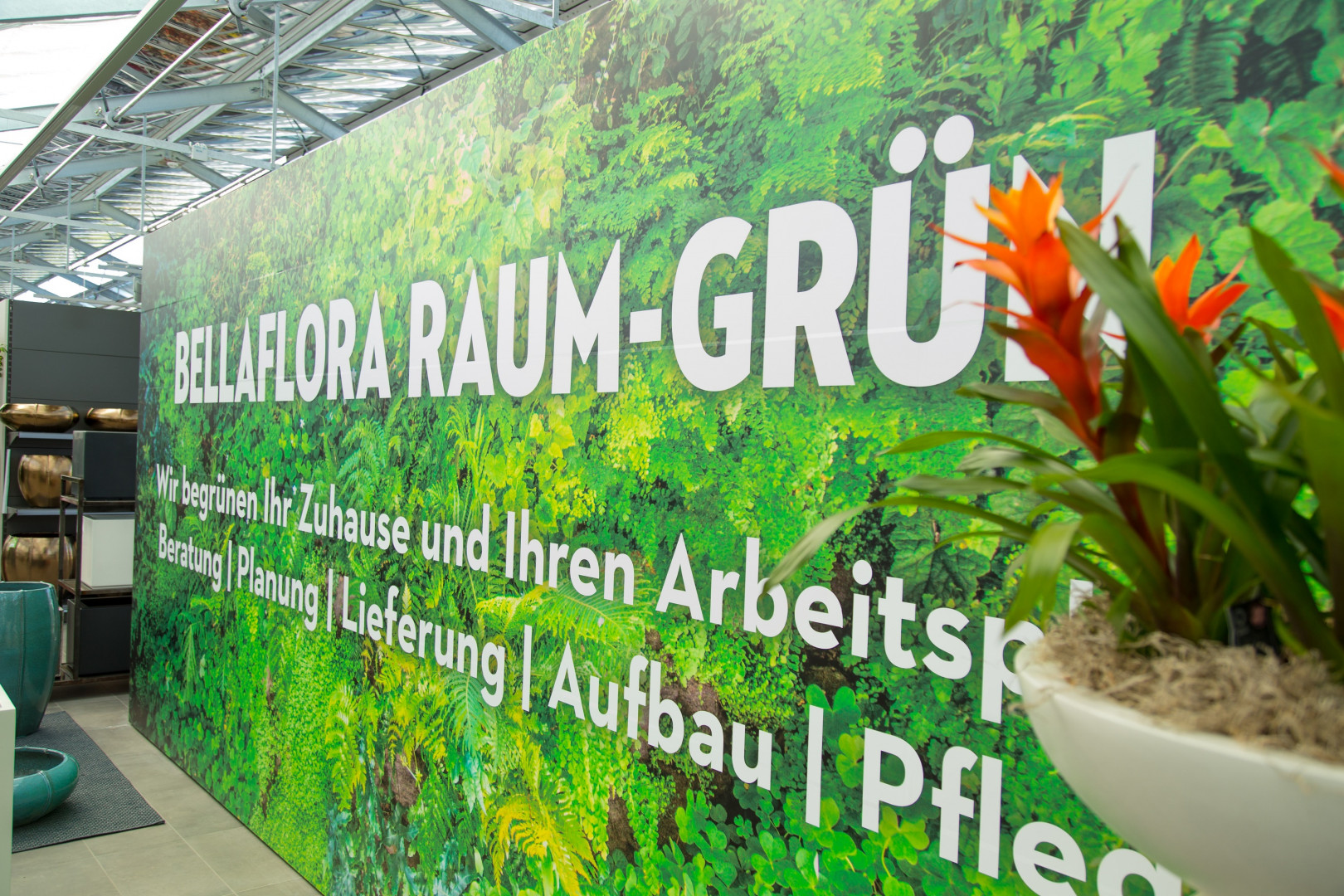 Bellaflora mit neuem Zustell-Servic... - diy online