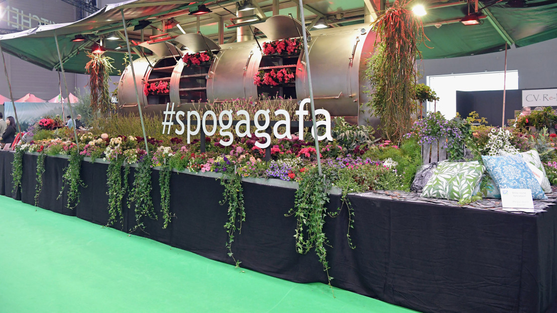 Spoga+Gafa 2024: Erfolgreiche Frühb... - diy online