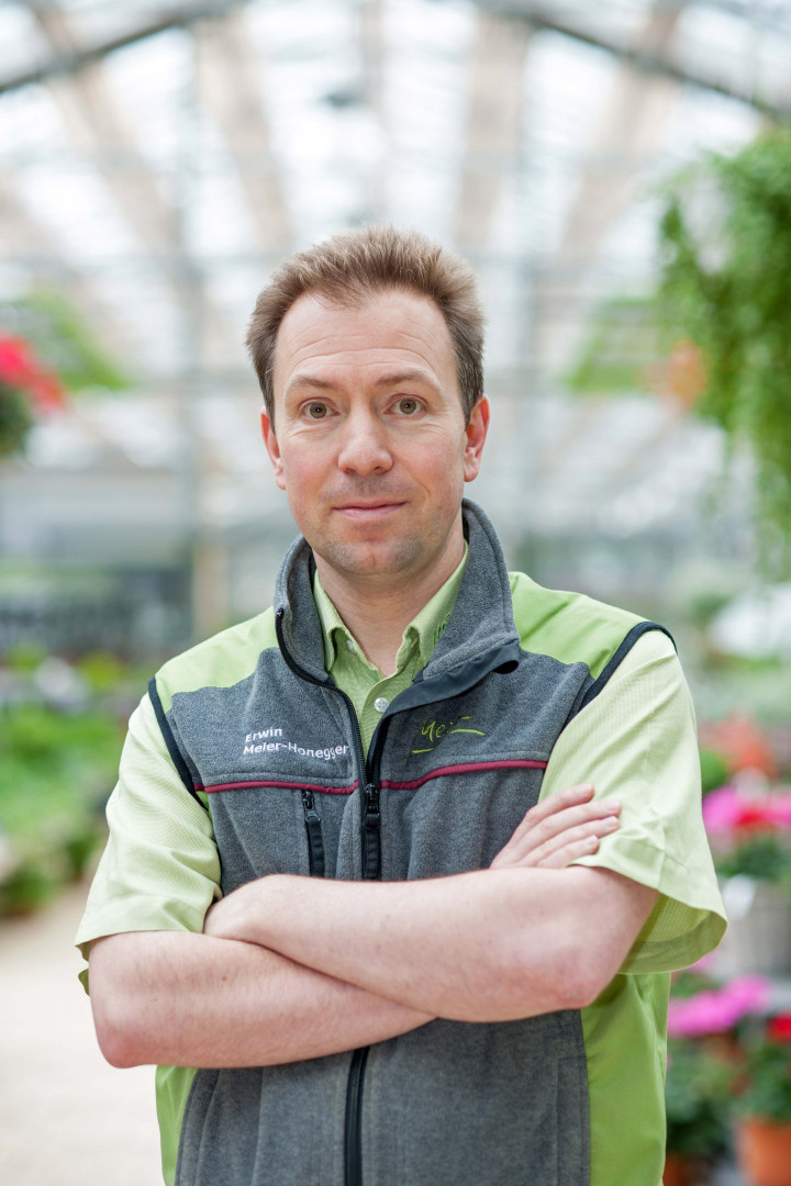 Alte Zöpfe abschneiden - diy online