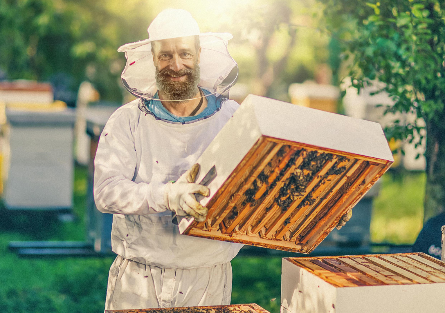 Mitmachprojekt "Woody loves bees" - diy online