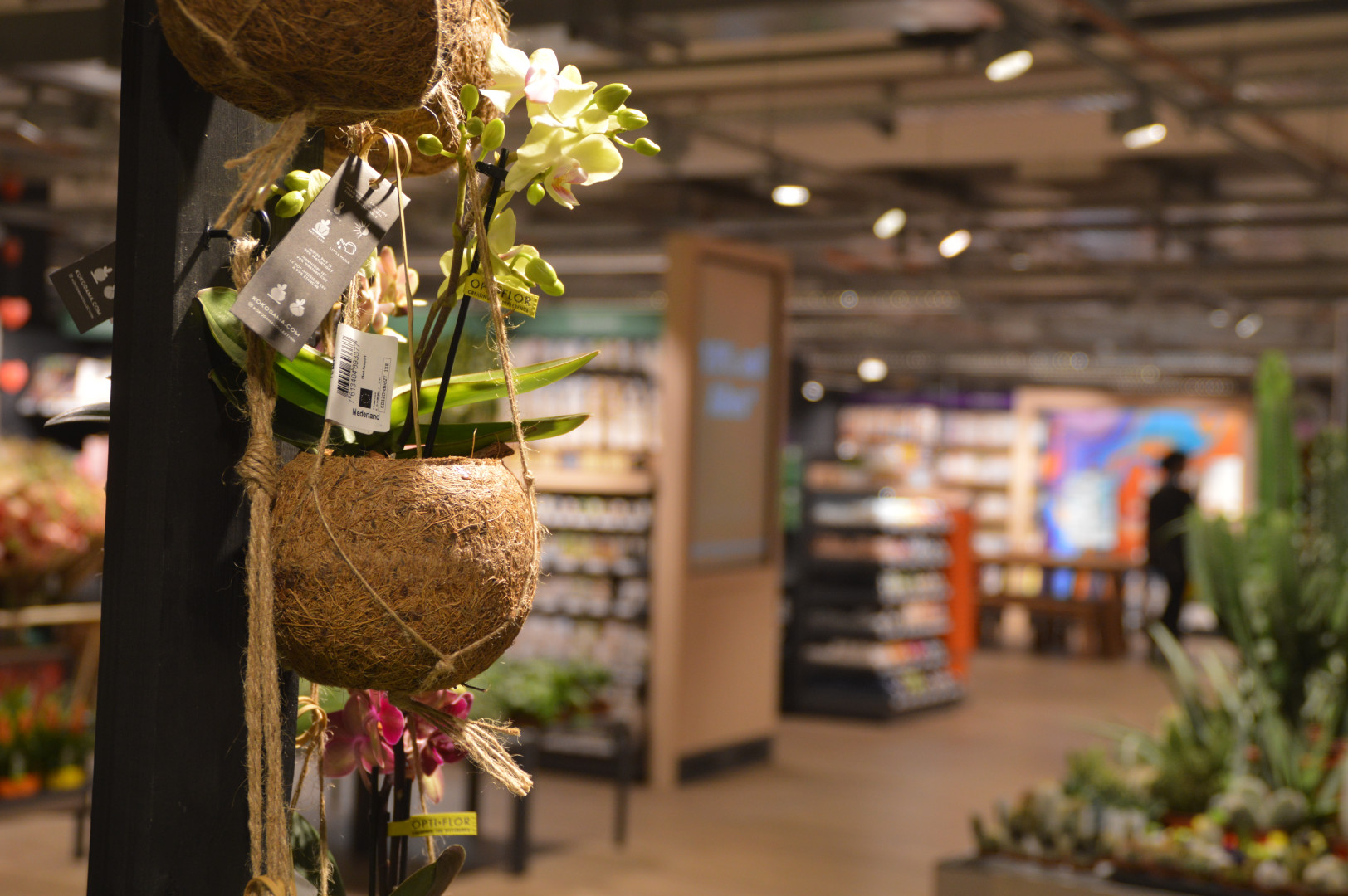 Do it + Garden positioniert sich al... - diy online