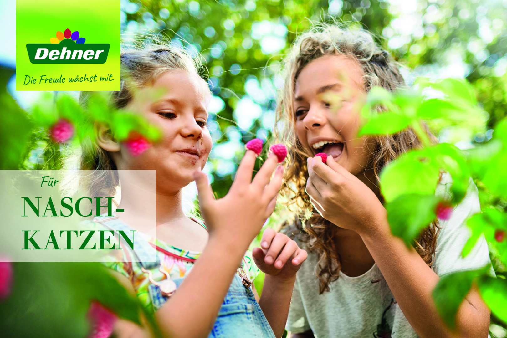 Neue Dehner-Kampagne soll auch die ... - diy online