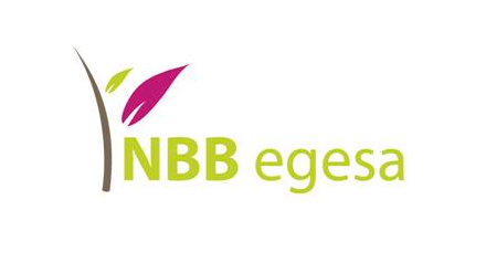 NBB Egesa gewinnt sechs neue Mitgli... - diy online